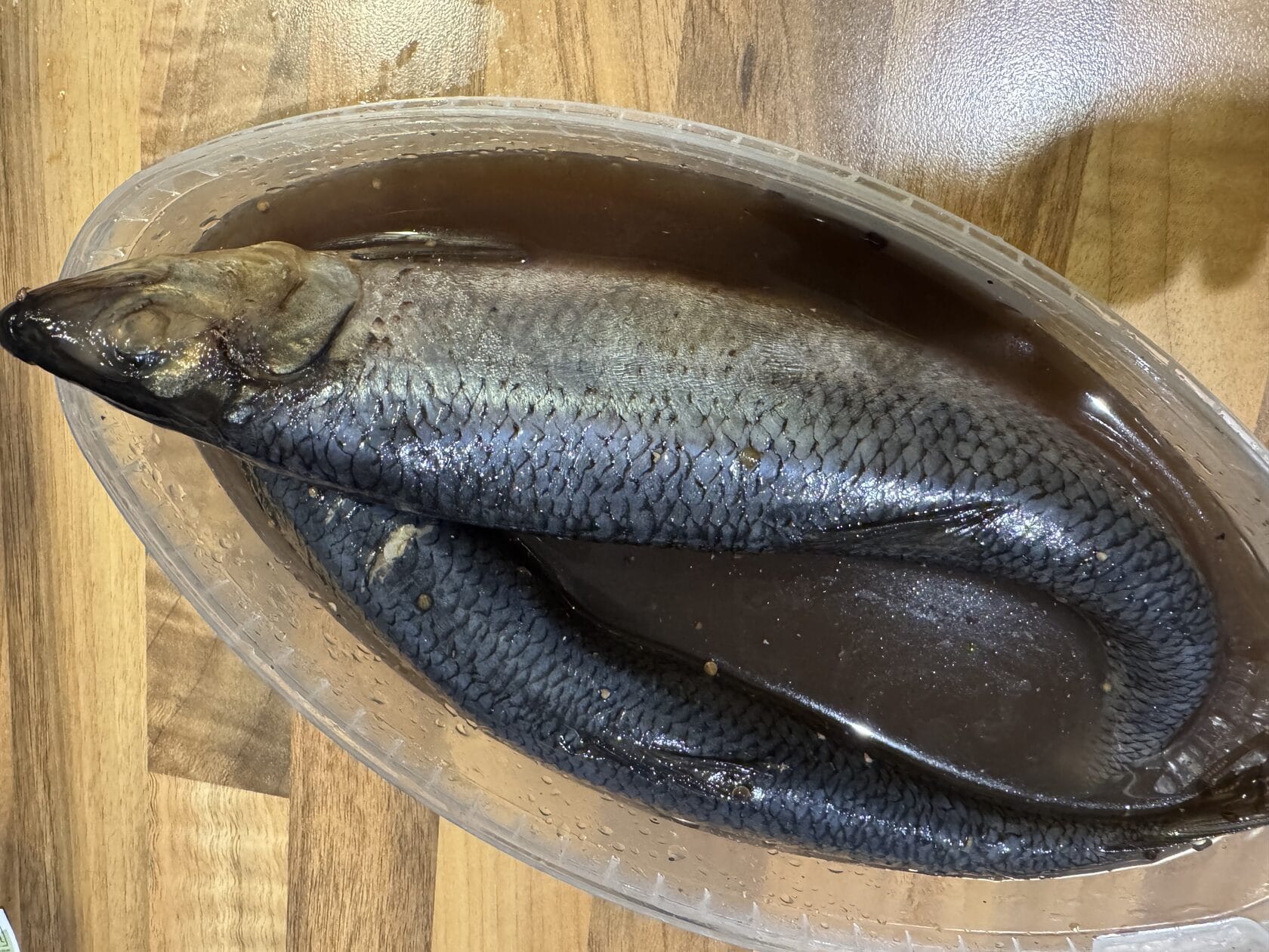 Lightly Salted Herring (3 Pieces — 1.3kg) - Mr Oyster