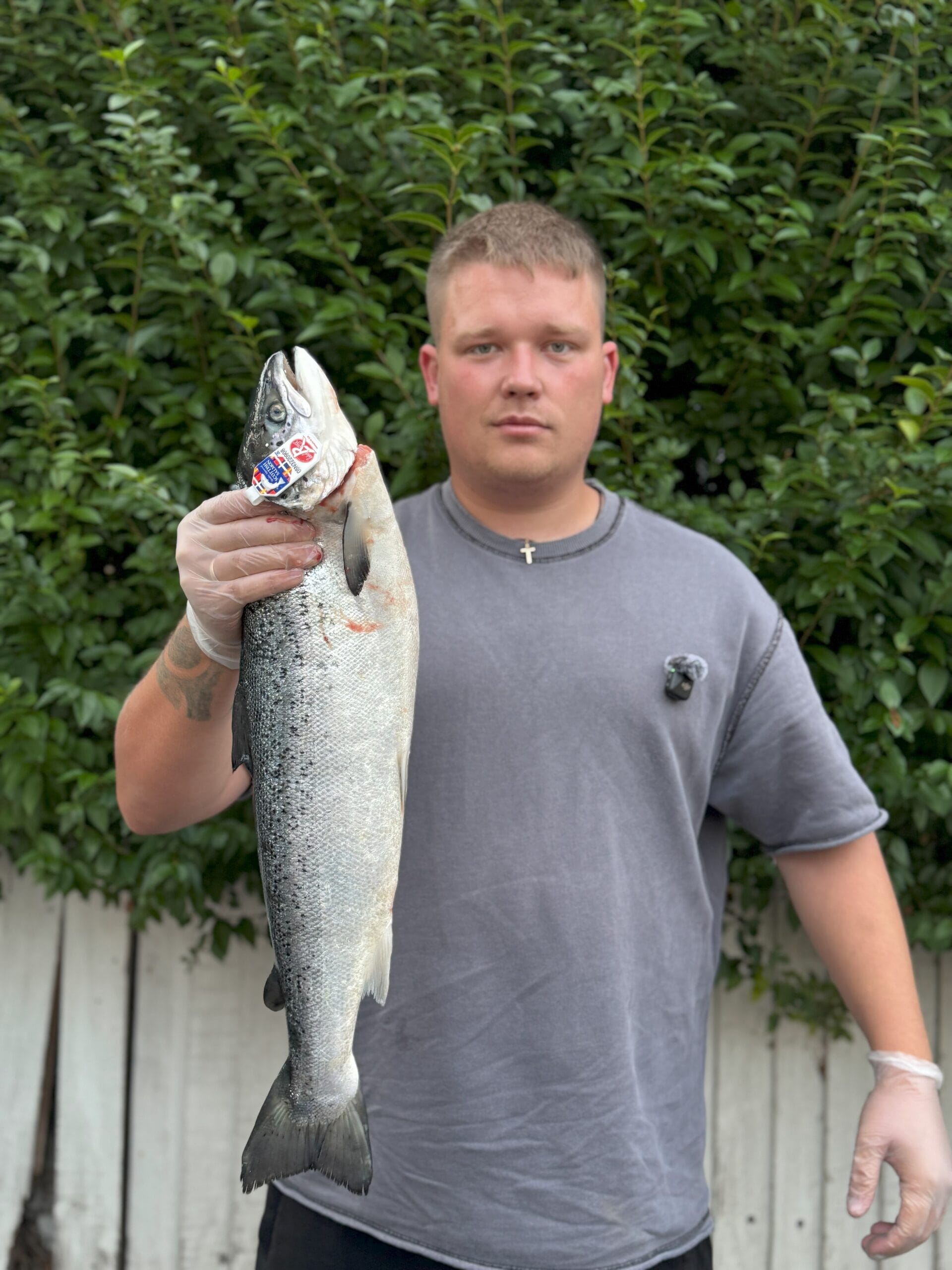 Fresh Whole Scottish Salmon (3–5kg, by weight) - Mr Oyster