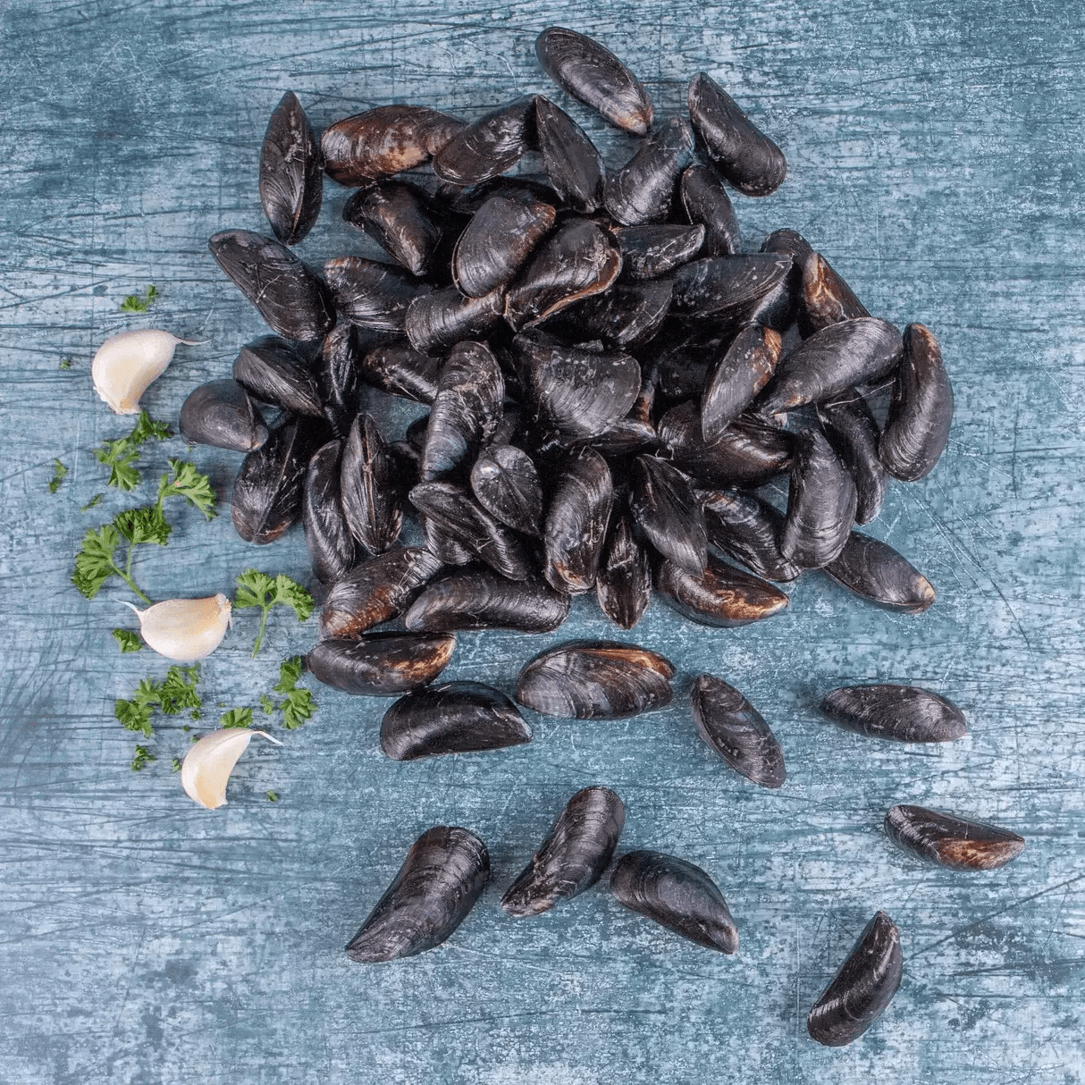 Chilled Live Mussels (1kg Bag) - Mr Oyster